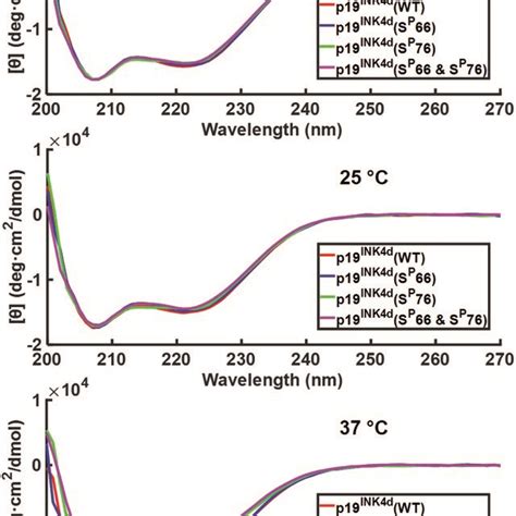 Cd Analysis Of P19ink4d Synthetic Analogues Where The Cd Signal Is Download Scientific Diagram