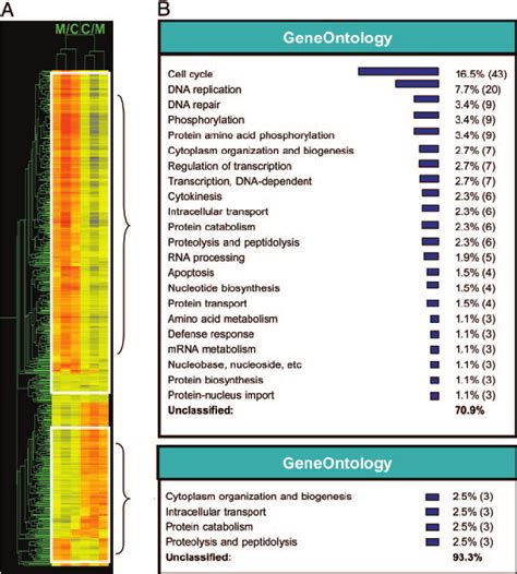 gene expression analysis a microarray data can be classified into