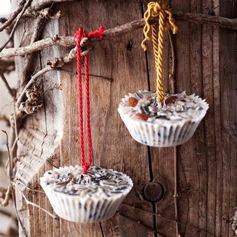 Instagram Vogelfutter Vogelfutter Selbst Herstellen Vogelfutter Selber Machen