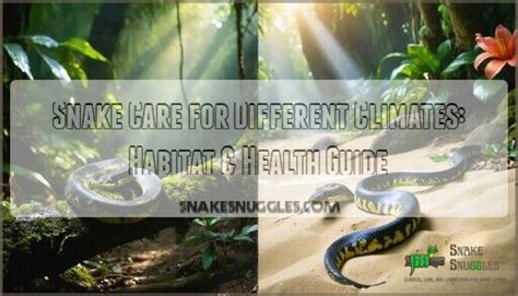 Snake Species Information Classification Traits And Habitats