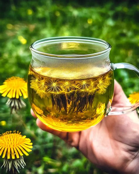 Quick Dandelion Tea Recipe