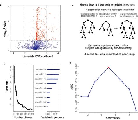 Identification Of The Prognostic Signature In The Training Dataset A