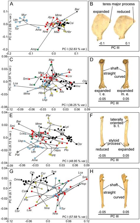 bivariate graphs depicted from the first and third pcs calculated on