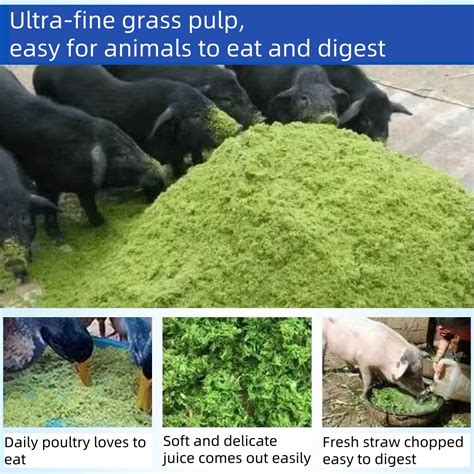 Grass Grinding Machine Tisi International