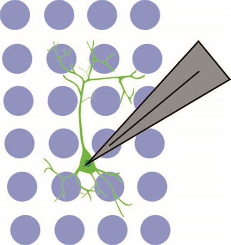 How Can Patterned Illumination Be Used In Optogenetics Experiments