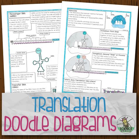 Translation Doodle Diagrams Store Science And Math With Mrs Lau