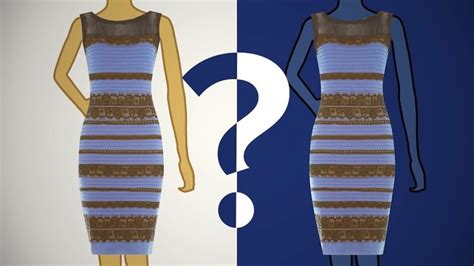 Mystery Solved Blue And Black Or White And Gold Dress Black And Blue
