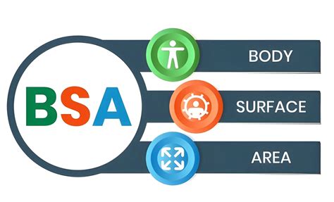Body Surface Area Calculator Accurate Bsa Calculation Tool