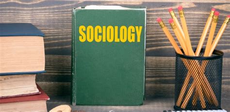Sociology Chapter 6 Vocab Quiz And Trivia