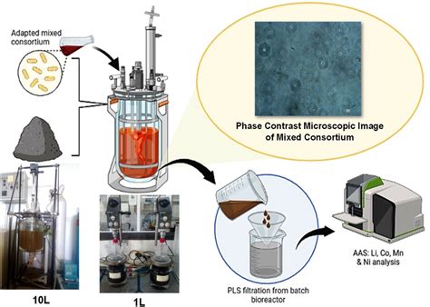 Stirred Tank Batch Bioreactor System For Bioleaching Of Lithium‐ion