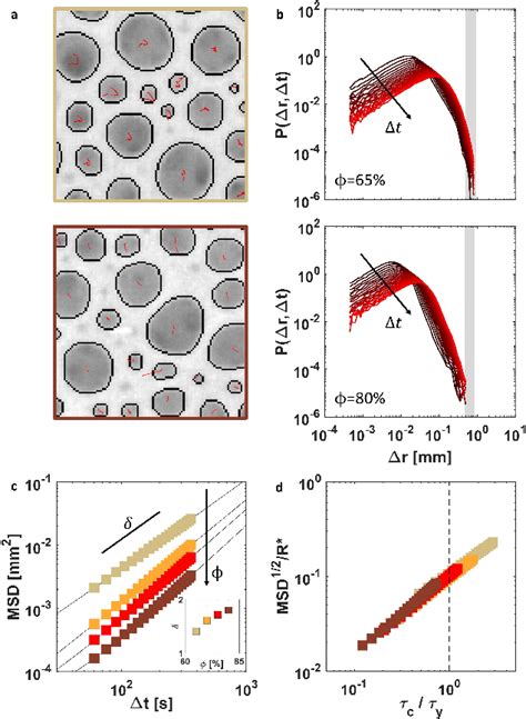 Figure 3 From Matrix Viscoelasticity Decouples Bubble Growth And Dynamics In Coarsening Foams