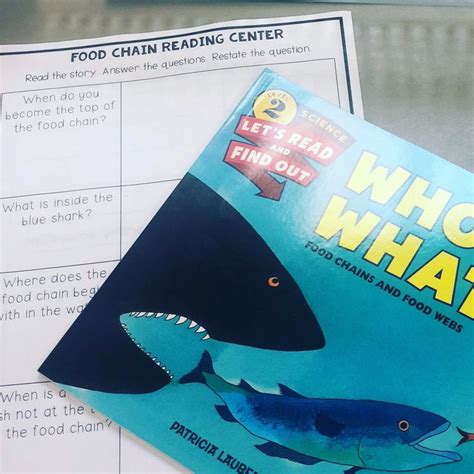 Ecosystem Lessons For Third Grade Ecosystems Lessons Ecosystems Third Grade