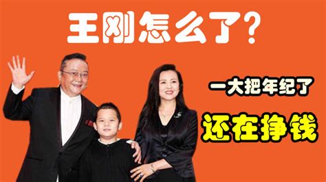 王刚中国内地男演员、主持人、国家一级演员搜狗百科