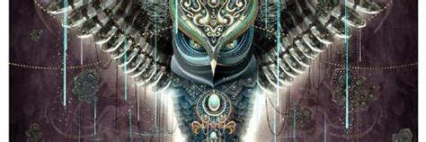 Amanda Dibella Amandadibella1 Twitter