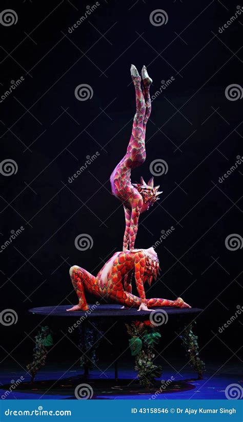 Cirque Dreams Jungle Fantasy Heatrical Acrobatic Circus Performs At