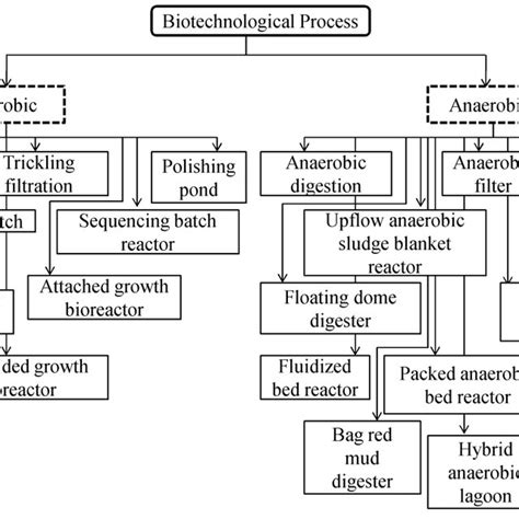 A Schematic Representation Of Different Types Of Biotechnological