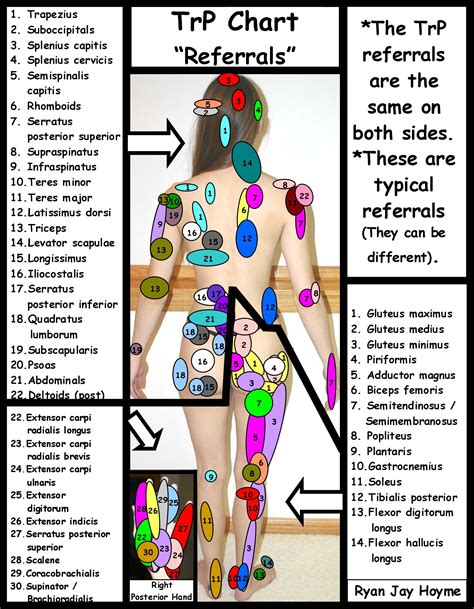 Pin On Aromatherapy And Massage