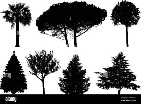 Trees Vector Set Stock Vector Image And Art Alamy