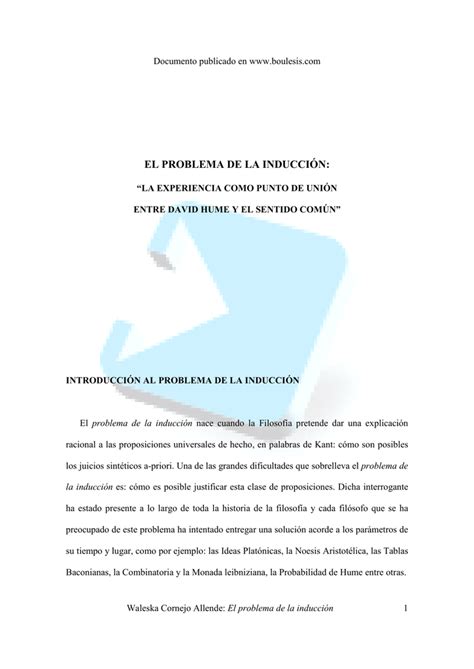 El Problema De La Inducci N