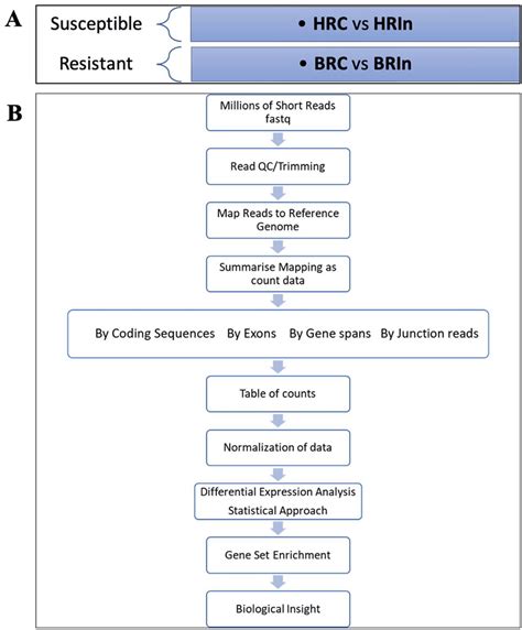 A Ngs Rna Sequencing To Chart The Differential Expression B Steps