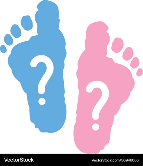 Gender Reveal Boy Or Girl Royalty Free Vector Image