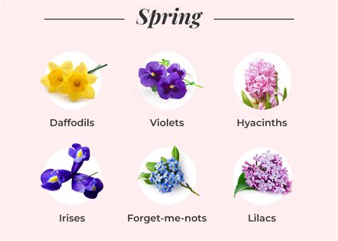 What Flowers Are In Season A Seasonal Flower Guide