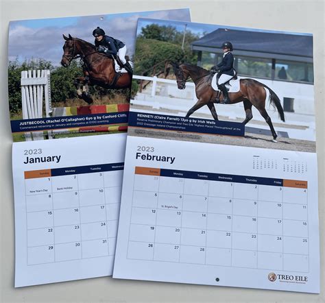 A Marvellous Night With The Stars Treo Eile