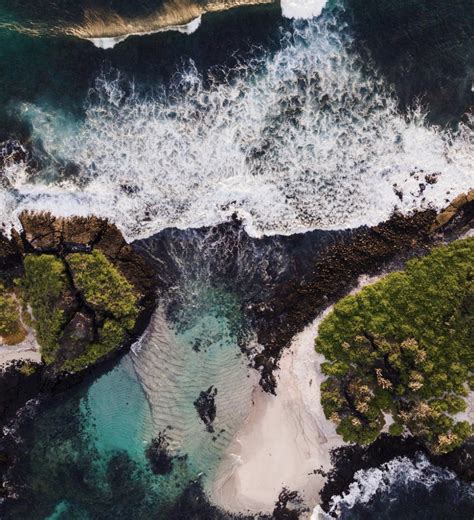 Floreana Island Galapagos Deep