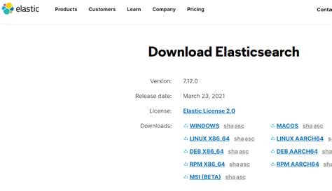 c elasticsearch kullanımı