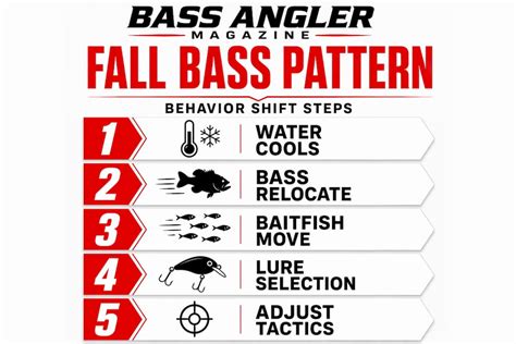 What Is Fall Bass Fishing Pattern A Season Guide Bass Angler Magazine