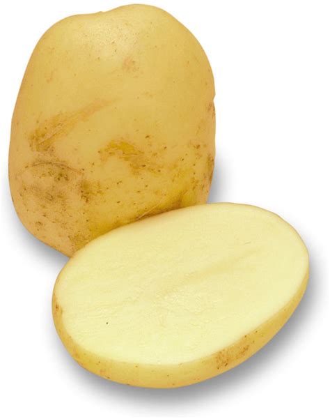Potatoes - Guide & varieties | Wilcox