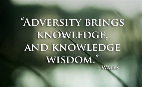 21 Beautiful And Inspirational Proverbs From Around The World