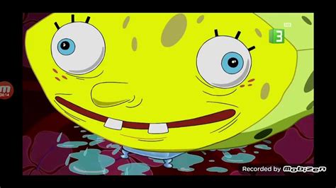 Spongebob Squarepants Theme Song In Arabic Youtube