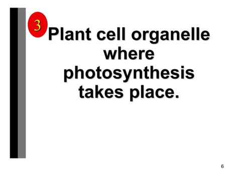 Cell Structure Vocab Review Ppt