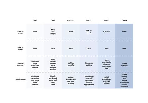 Crispr 101 Cas9 Vs The Other Cass
