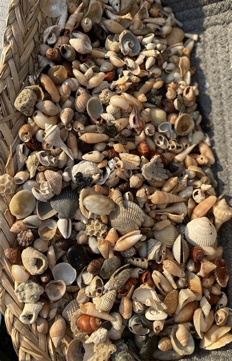 Excited To Share This Item From My Etsy Shop Variety Of Tiny Small