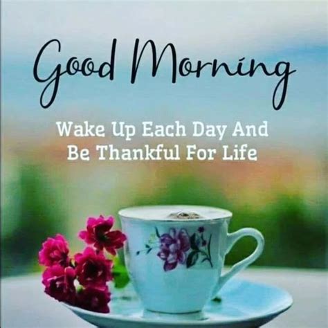 Kalpana 1769kalpana • Threads Say More