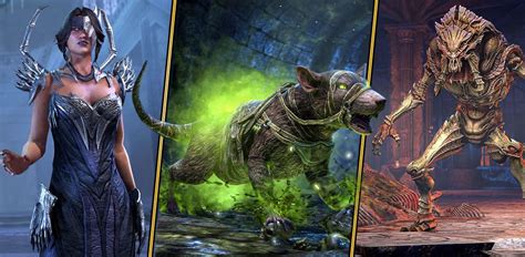 Eso Creator Program Hub The Elder Scrolls Online