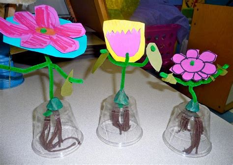 25 Manualidades De Las Partes De La Planta Preescolar Y Primaria