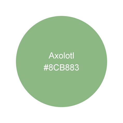 Axolotl · Theme