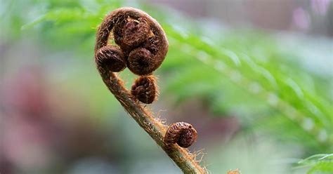 Textures Album On Imgur