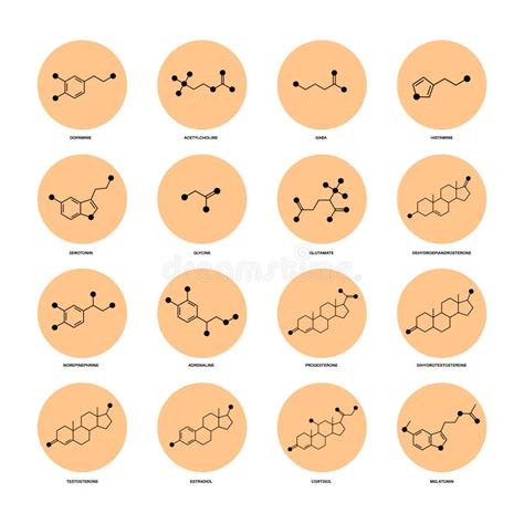 Glutamate Brain Stock Illustrations 73 Glutamate Brain Stock