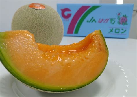 Jetix Fruit Cute Food Cookie Run