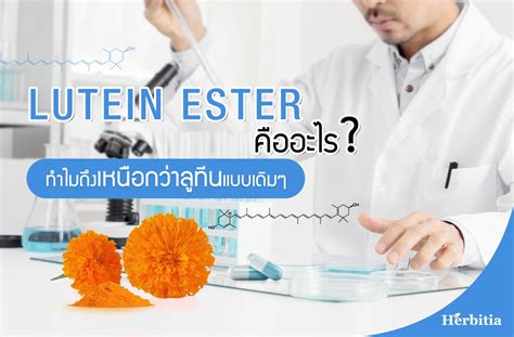 ลูทีน เอสเทอร์ Lutein Ester คืออะไร ทำไมถึงเหนือกว่าลูทีนแบบเดิม