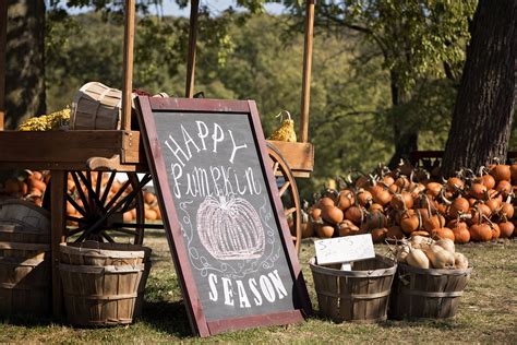 Find The Perfect Pumpkin Patch In Merseyside The Olivia Edit