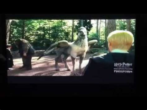 Draco Malfoy Vs Buckbeak Youtube