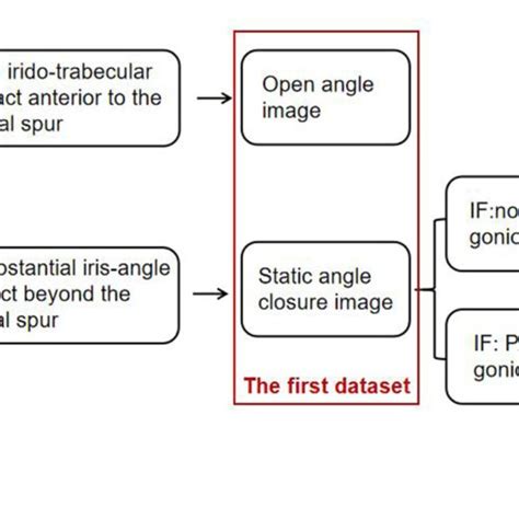 Aca Grading System As Described By Shaffer Download Table