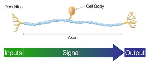 Scientific Foundations