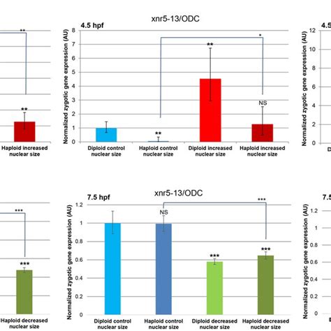 Quantification Of Zygotic Transcripts By Qrt Pcr In Embryos With