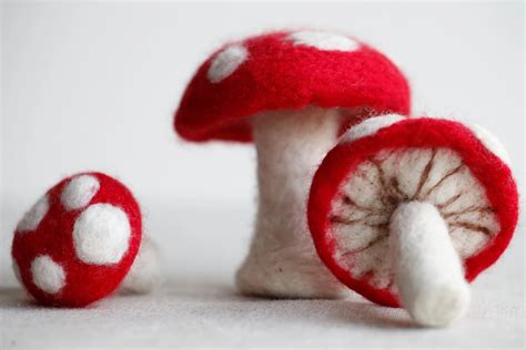 Needle Felted Toadstools With Nancy Nelson Brotz With January 19th 1 2
